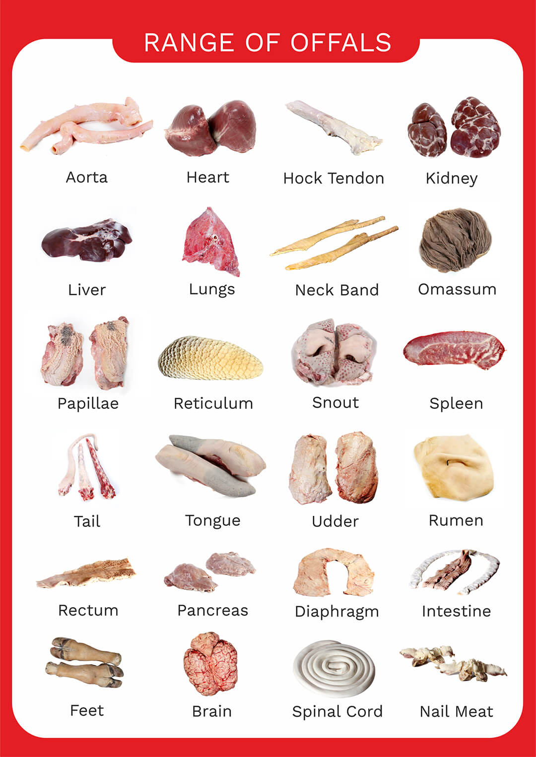 Frozen Meat Allana Frozen Meat Allana