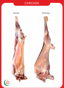 Frozen Meat – Allana